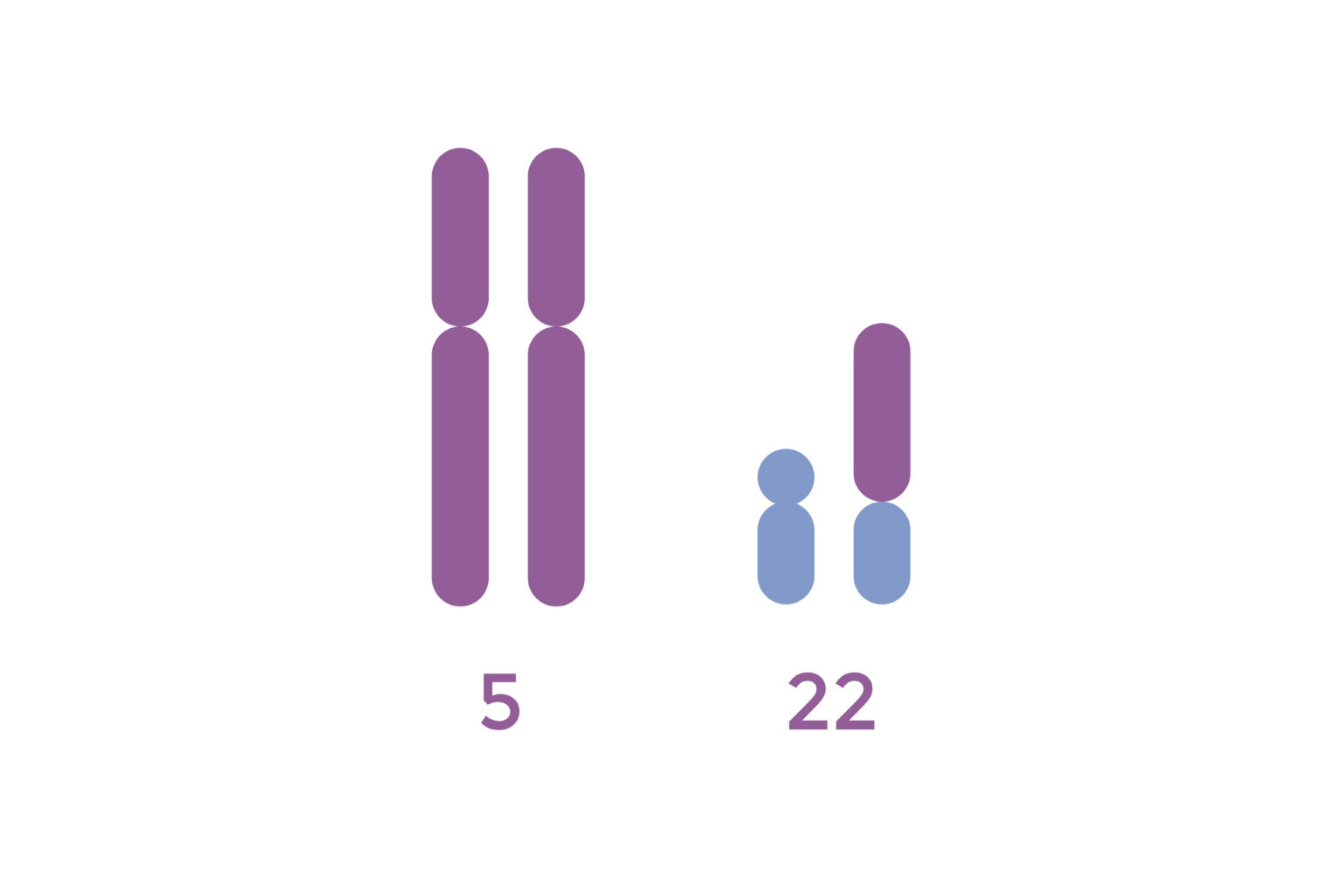 Pruebas genéticas preimplantacionales: ¿cuándo y por qué hacerlas ...