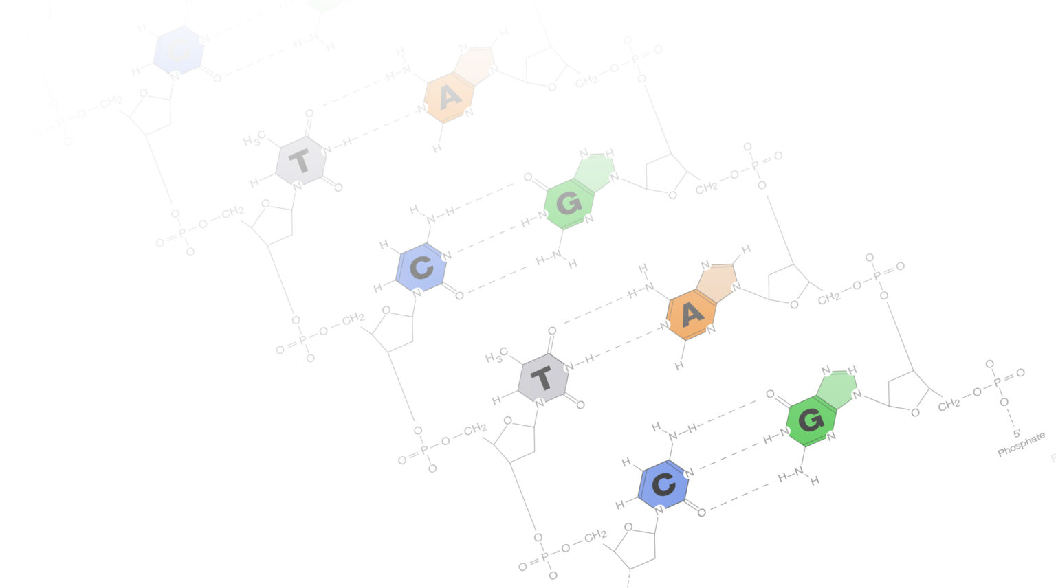 HapMap (mapa de haplotipos) – CROM – Instituto de Citogenética Humana