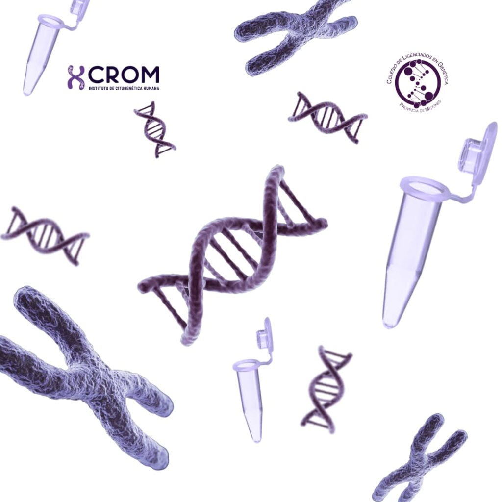 Curso: Curso práctico de laboratorio en Citogenética Humana – CROM ...