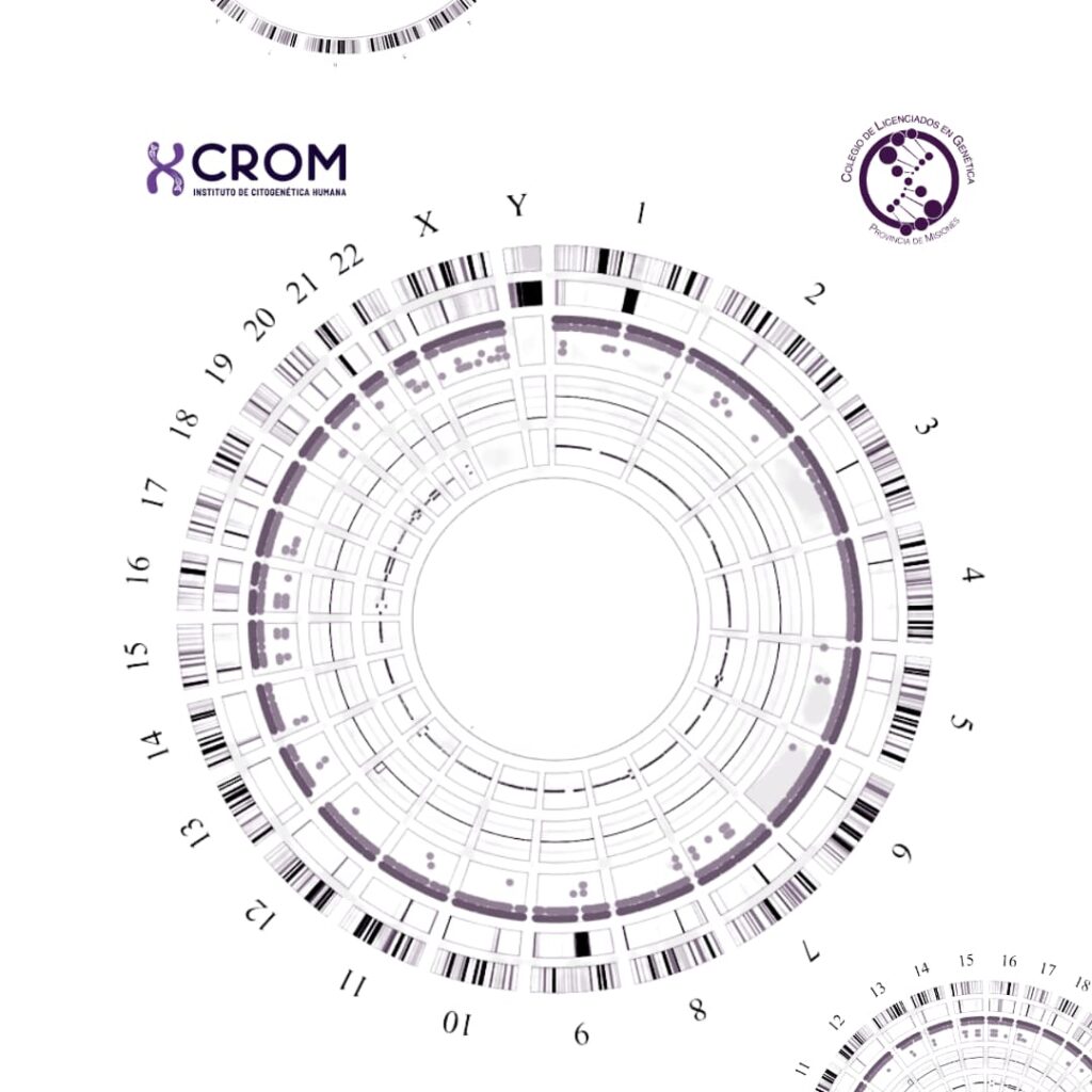 Curso en Optical Genome Mapping – CROM – Instituto de Citogenética Humana