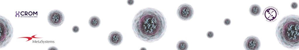 Curso Práctico de FISH – CROM – Instituto de Citogenética Humana